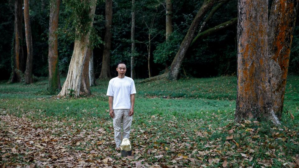 Chov Theanly’s ‘Rooted’ Features A Journey of Faith, Nature, and ...