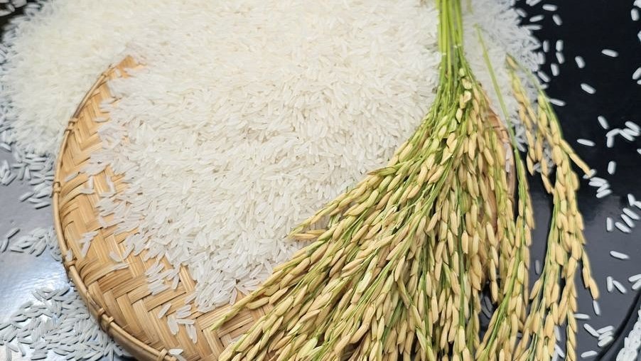 Cambodia's Rice Exports Exceed $209M in First Four Months of 2025 ...