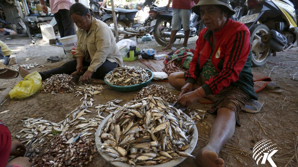 Prahok Being Primed for Export | Kiripost