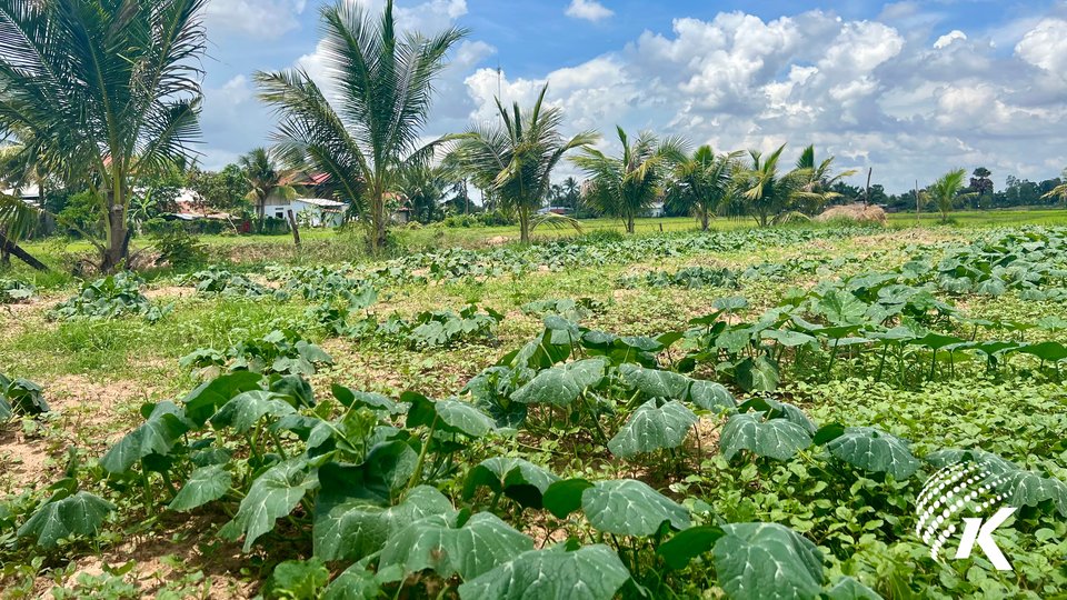 From Migrant Worker to Farmer: Leaving the Poverty Line | Kiripost