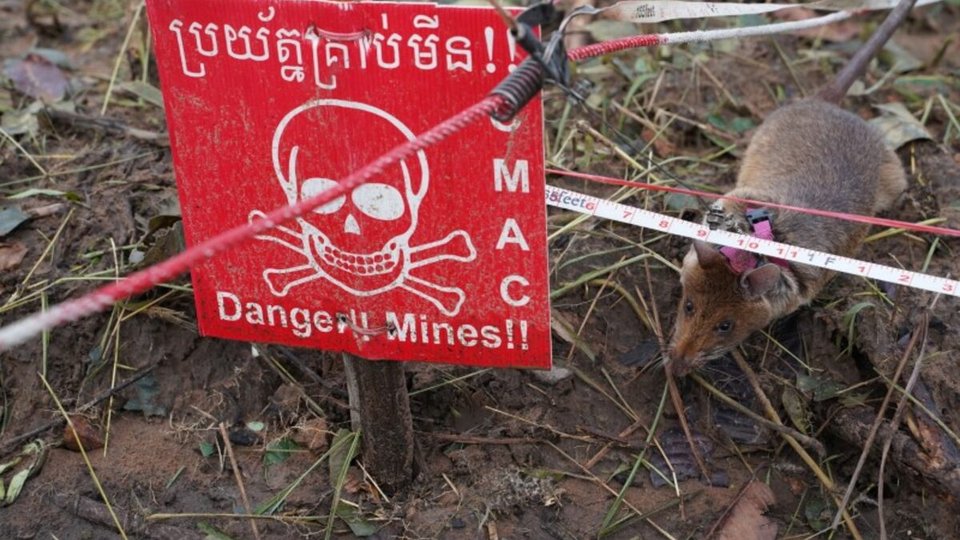 China Steps in with $4.4M Grant for Cambodia's Demining After US Aid ...