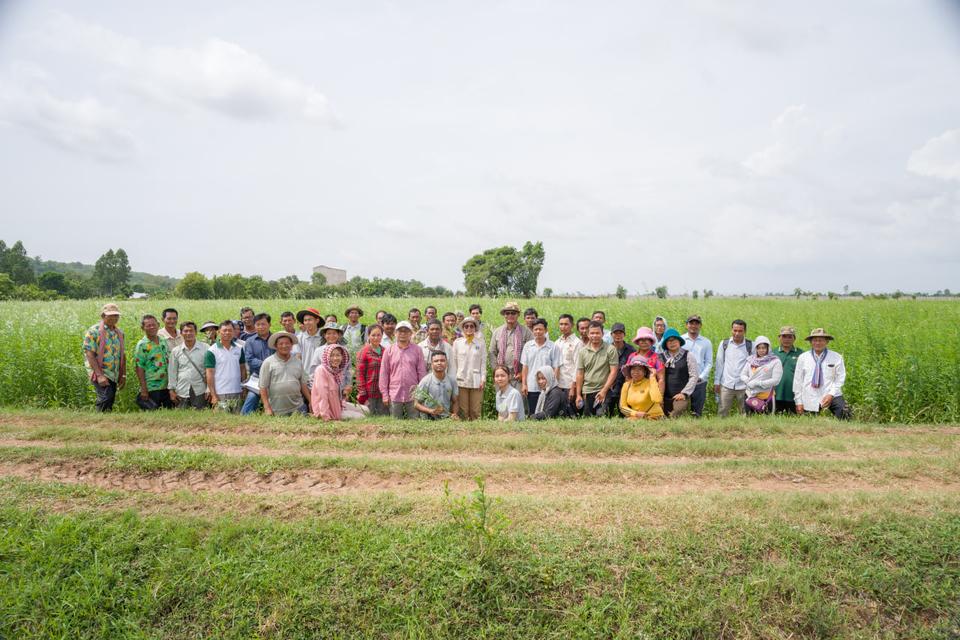 Cambodian Farmers Lead the Way in Sustainable Agriculture with Cover ...