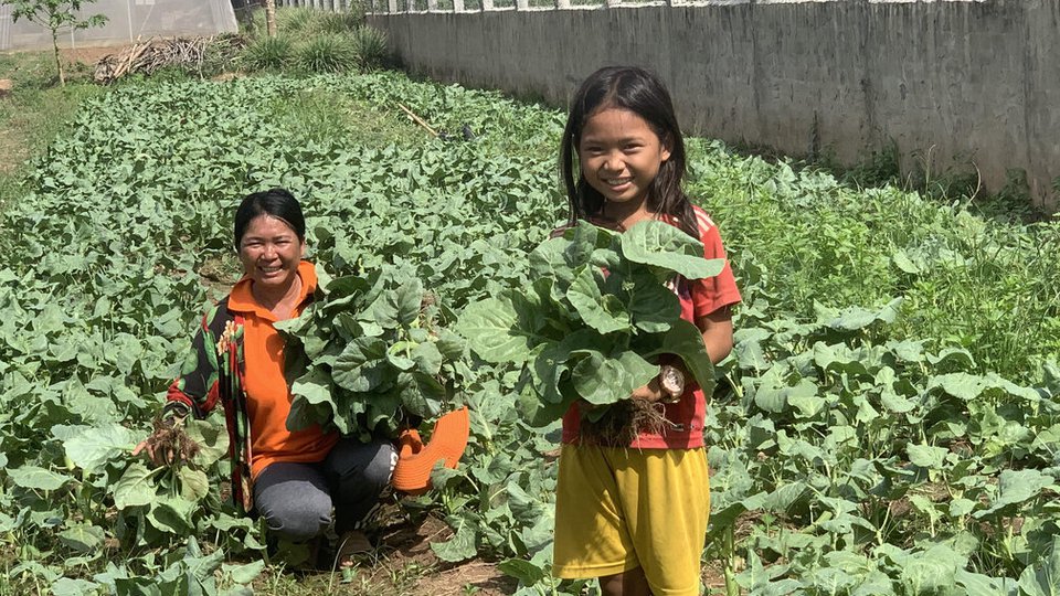 Project Aims to Modernize Cambodian Farming | Kiripost