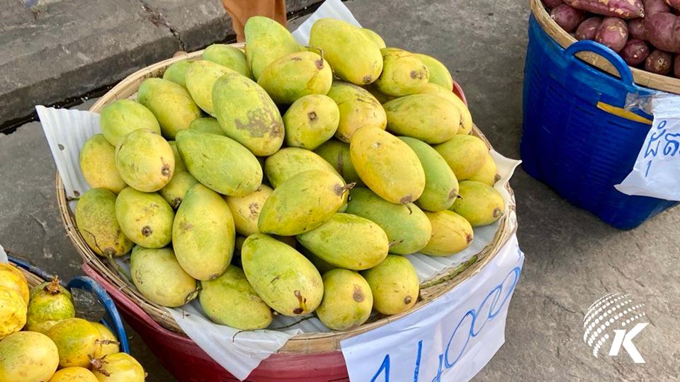 Fresh Mango Exports Drop 7.14% as Local Demand Soars | Kiripost